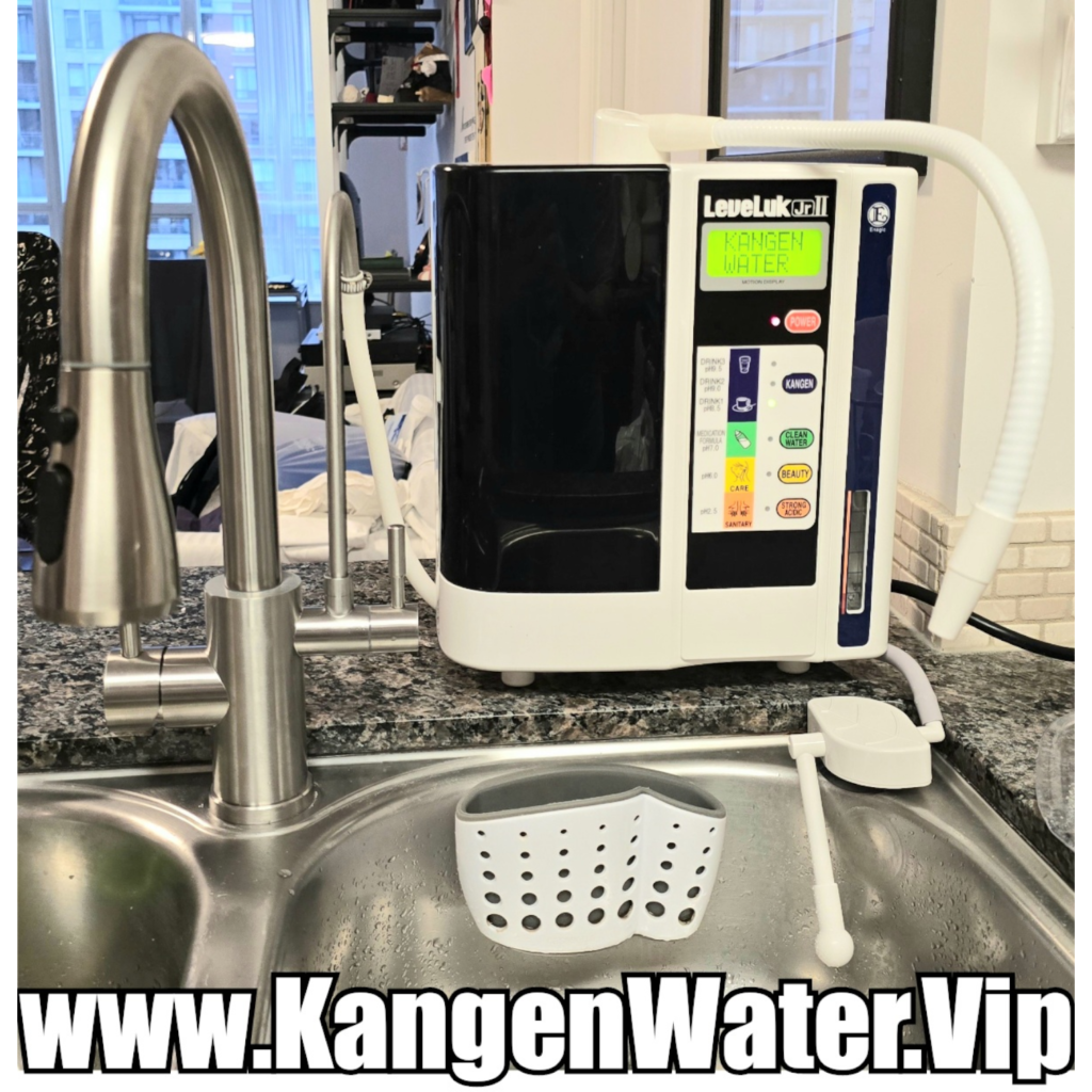 2 in 1 Kitchen Faucet Kit-Brushed Nickel - Enagic Kangen Water